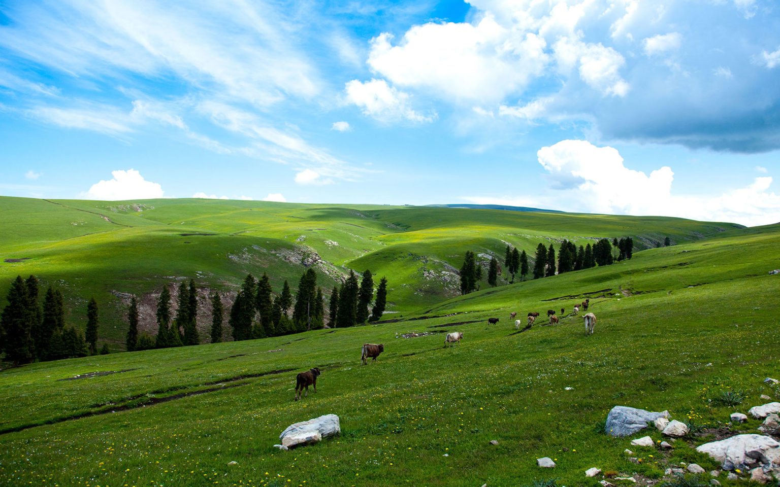 Xinjiang – DPhoto | See beyond